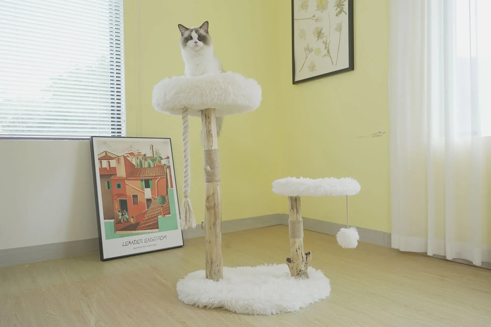 What a “Cute” Cat Tree Really Means to Cats: Vertical Space, Security ...